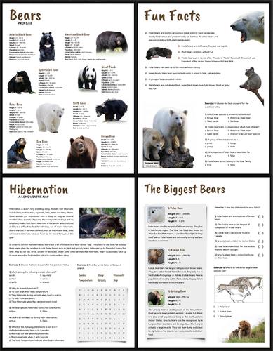Bears | Teaching Resources