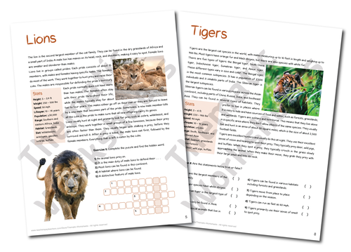 Big Cats | Teaching Resources