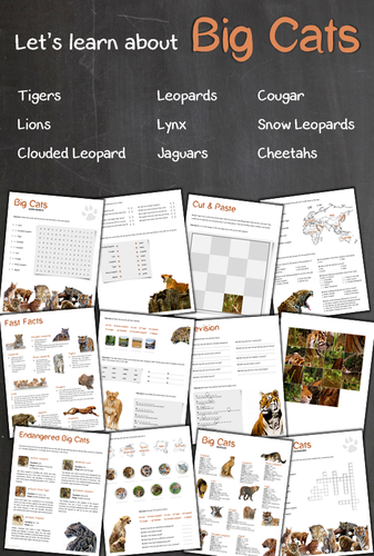 Big Cats | Teaching Resources