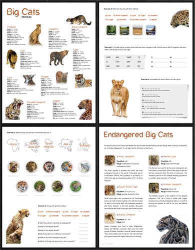 Big Cats | Teaching Resources
