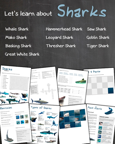 Sharks | Teaching Resources