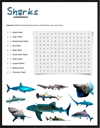Sharks | Teaching Resources