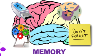Animation Bundle - Memory | Teaching Resources