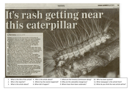 Newspaper Comprehension - real newspaper article | Teaching Resources