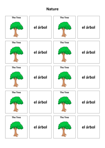 Nature: Spanish Vocabulary Card Sort | Teaching Resources