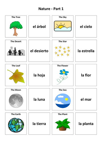 Nature: Spanish Vocabulary Card Sort | Teaching Resources