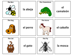 Spanish Vocabulary Card Sorts | Teaching Resources