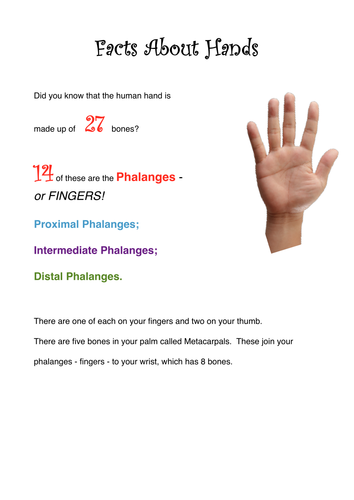 Cross Curricular Creative Writing Pack | Teaching Resources