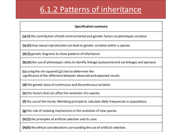 OCR A level Biology 6.1.2 Patterns of inheritance (13/14 lessons ...