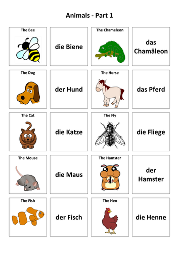 Animals: German Vocabulary Card Sort | Teaching Resources