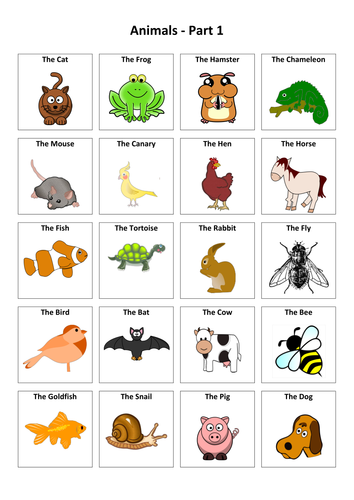 Animals: German Vocabulary Card Sort | Teaching Resources