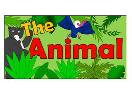 The Animal Boogie story resource pack- Jungle animals | Teaching Resources