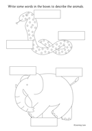 The Animal Boogie story resource pack- Jungle animals | Teaching Resources