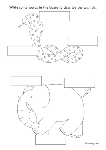 The Animal Boogie story resource pack- Jungle animals | Teaching Resources