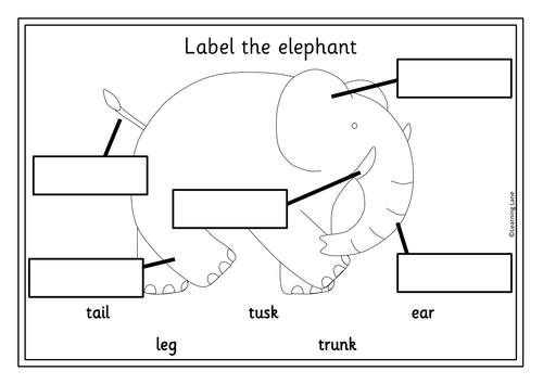 The Animal Boogie story resource pack- Jungle animals | Teaching Resources