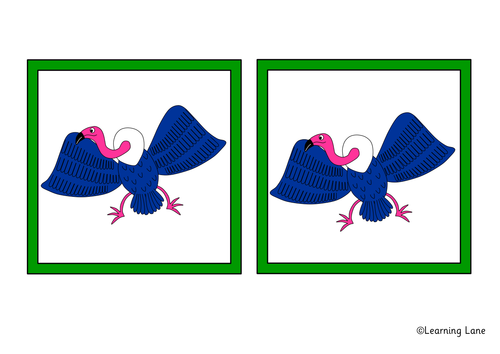 The Animal Boogie story resource pack- Jungle animals | Teaching Resources