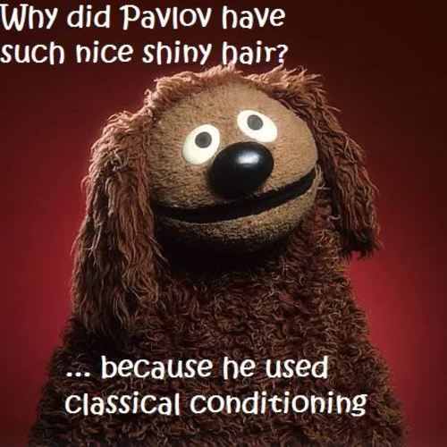 PAVLOV JOKE POSTER (HUMOUR) - POSTERS@PSYCH – Brighten up your walls ...