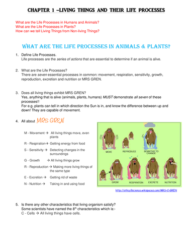 Year 3 Science Living Things & Life Processes | Teaching Resources