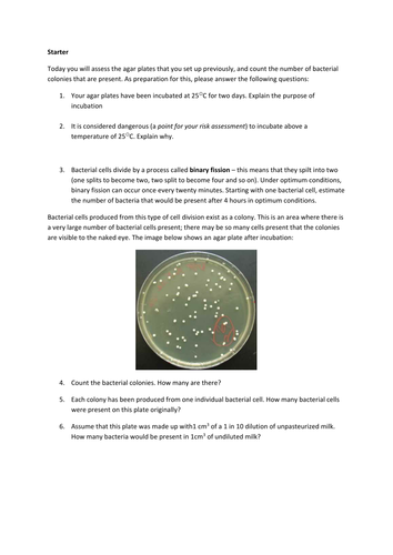 Counting bacterial colonies on an agar plate | Teaching Resources