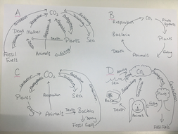 Carbon Cycle | Teaching Resources