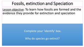 Fossils, Extinction and Speciation - Presentation, A3 lesson map ...