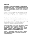 KS2 English: Descriptive Writing - Features and Marking Checklist, and ...