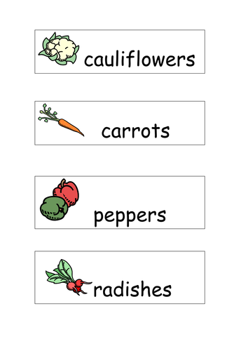 Greengrocer Role Play | Teaching Resources