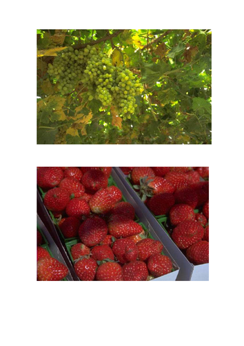 Greengrocer Role Play | Teaching Resources