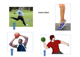 AQA GCSE PE 2016 Spec - Levers and Movements | Teaching Resources