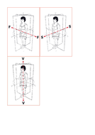 AQA GCSE PE 2016 Spec - Axes and Planes | Teaching Resources