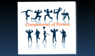 Components of Fitness | Teaching Resources