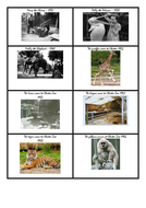 George Mottershead, A history of Chester Zoo | Teaching Resources