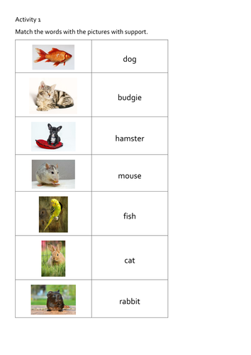 EAL Literacy Topic 12 - Pets | Teaching Resources