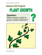 Science Project - Plant Growth | Teaching Resources