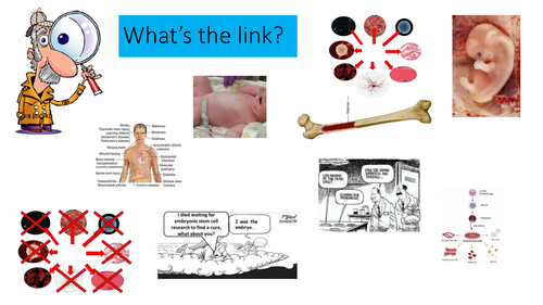 KS4 AQA New 2016 B2 Cell division revison PPT and notes | Teaching ...
