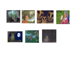 Owl who was Afraid of the Dark Full Literacy Unit | Teaching Resources