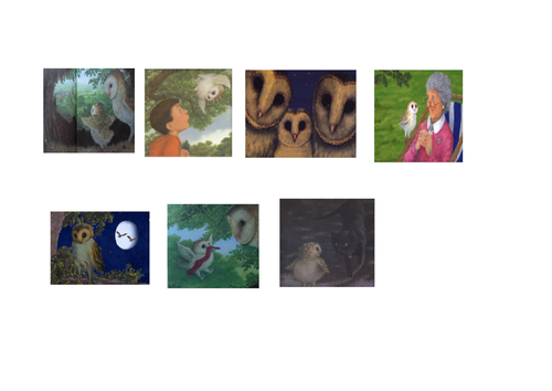 Owl who was Afraid of the Dark Full Literacy Unit | Teaching Resources