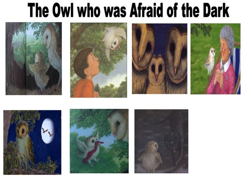 Owl who was Afraid of the Dark Full Literacy Unit | Teaching Resources