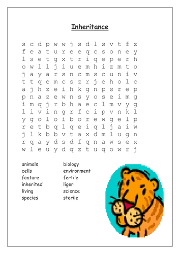 KS2 and KS3 Giant Wordsearch Collection | Teaching Resources