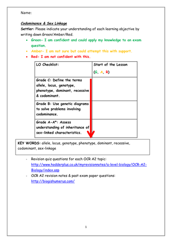 OCR Biology A Module 6 Genetics (Answers included) | Teaching Resources