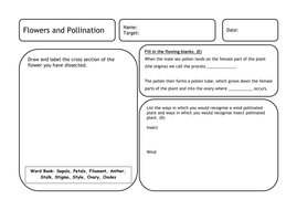 ELBS - Flowers and Pollination | Teaching Resources