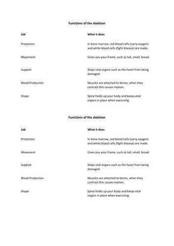Skeleton Functions Match Up Teaching Resources