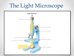 AQA AS & A-level Biology (2016 specification). Section 2 Topic 3: Cells. 2 Electron microscope ...