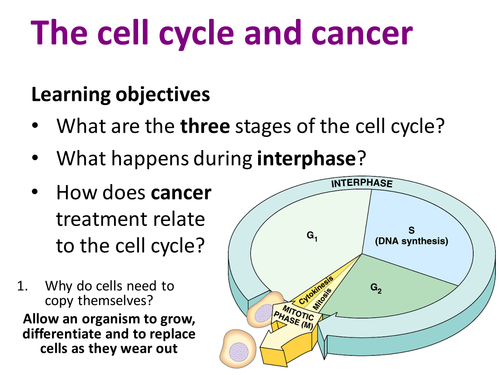AQA AS & A-level Biology (2016 specification). Section 2 Topic 3: Cell ...