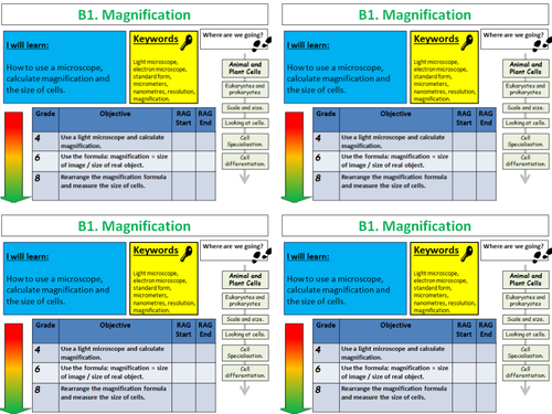 NEW - AQA Biology Magnification Calculations B1 | Teaching Resources