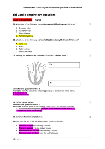 AQA GCSE PE Cardio-respiratory Q & A and revision bundle | Teaching ...