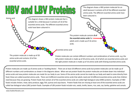 Protein, Denaturation and Coagulation Pack | Teaching Resources