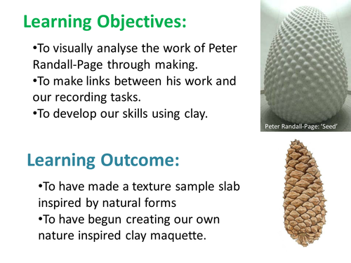 Natural forms clay texture lesson with artist links to Peter Randall ...