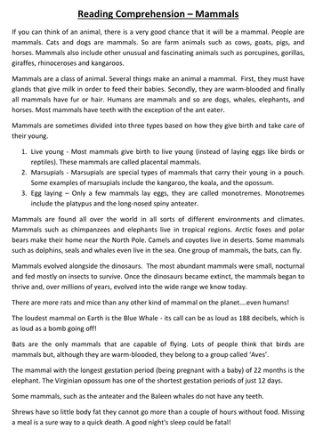 KS2/KS3 Science-based VCOP/Comprehension Worksheets: Amphibians, Birds ...