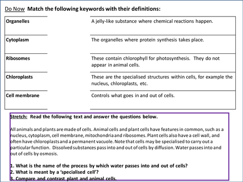 KS3 Science Do Nows | Teaching Resources